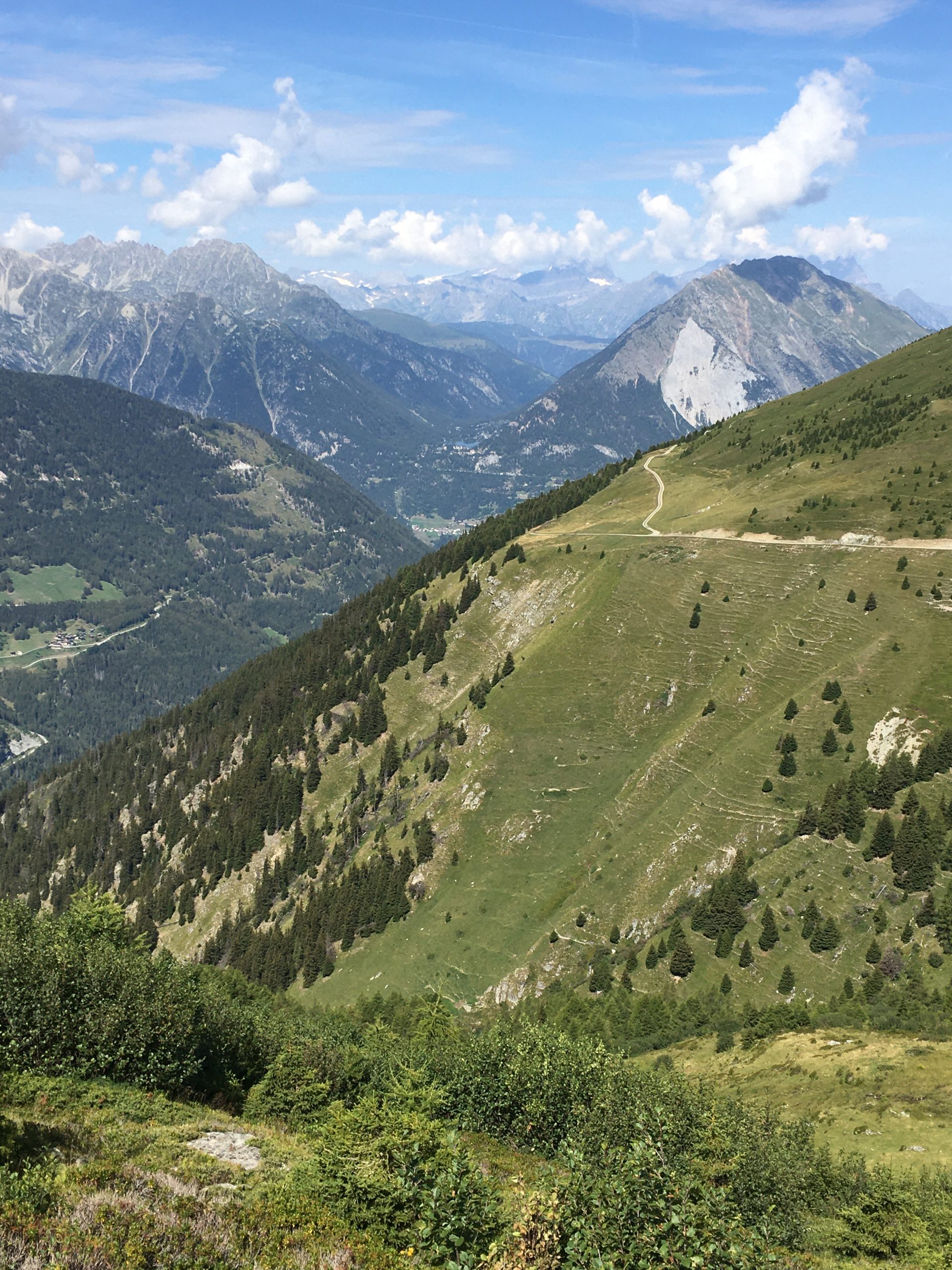 Alpine Pass Trail – Week 5 – Tinkle Hikes